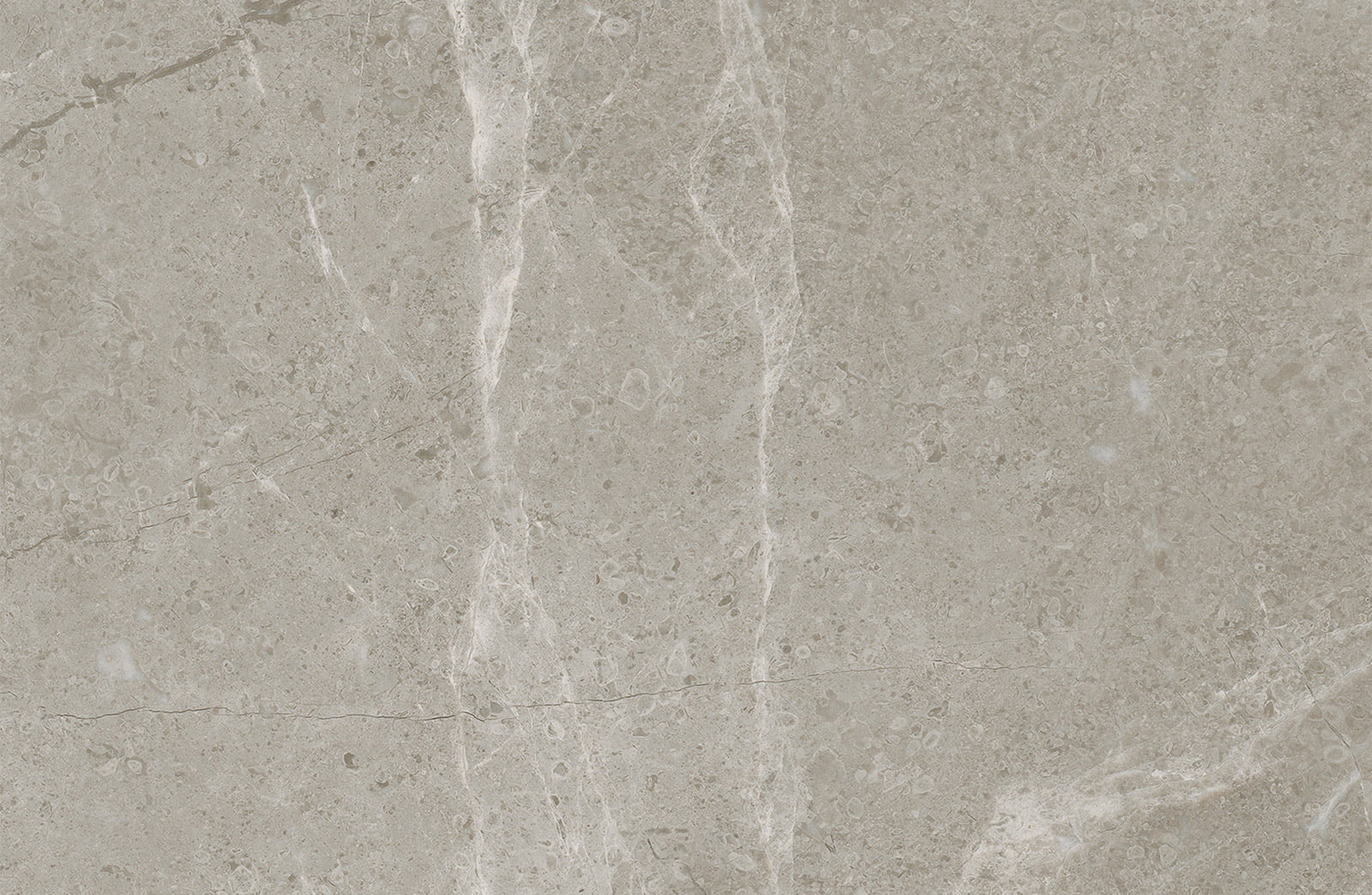 Torino - Euro Tile & Stone Euro Tile & Stone