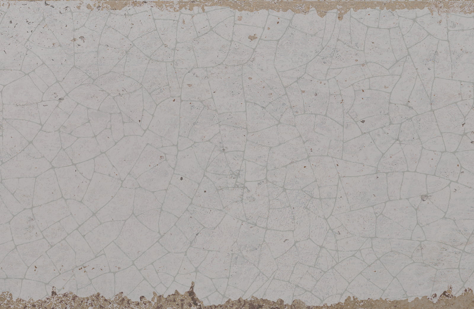 Soul Wall - Euro Tile & Stone Euro Tile & Stone