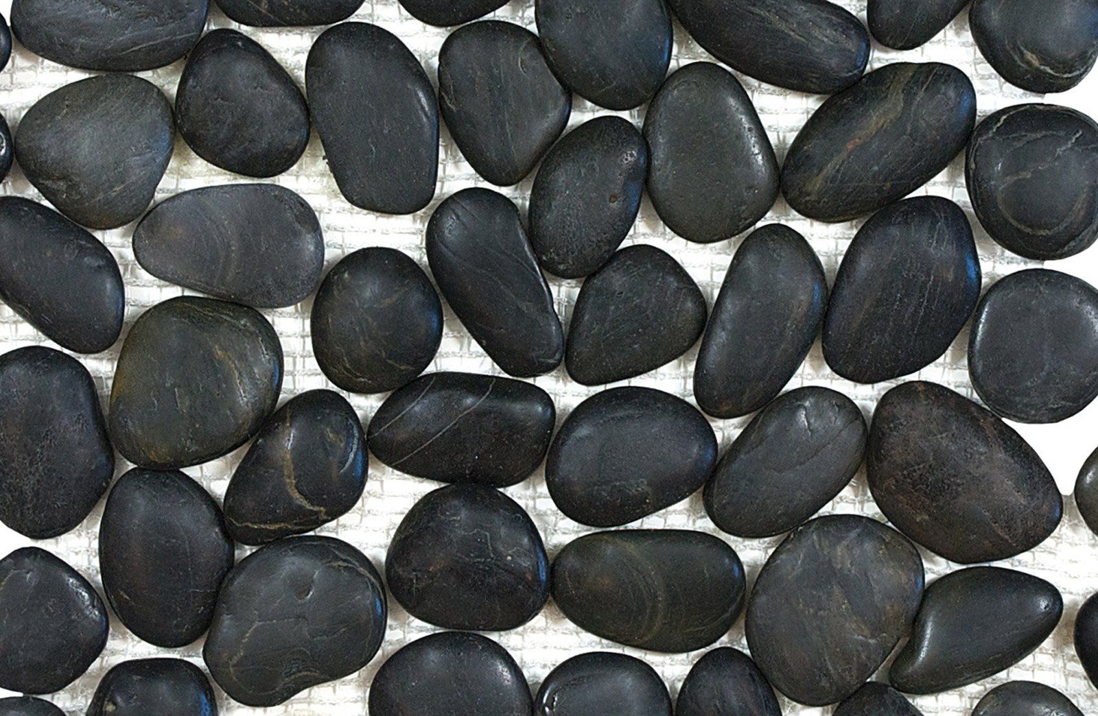 Zen - Euro Tile & Stone Euro Tile & Stone