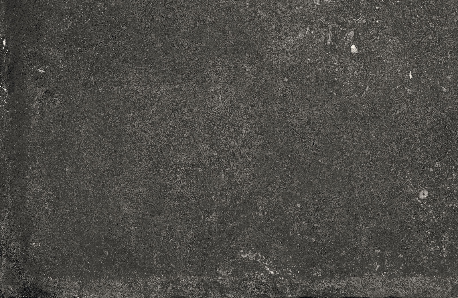 Vibes - Euro Tile & Stone Euro Tile & Stone