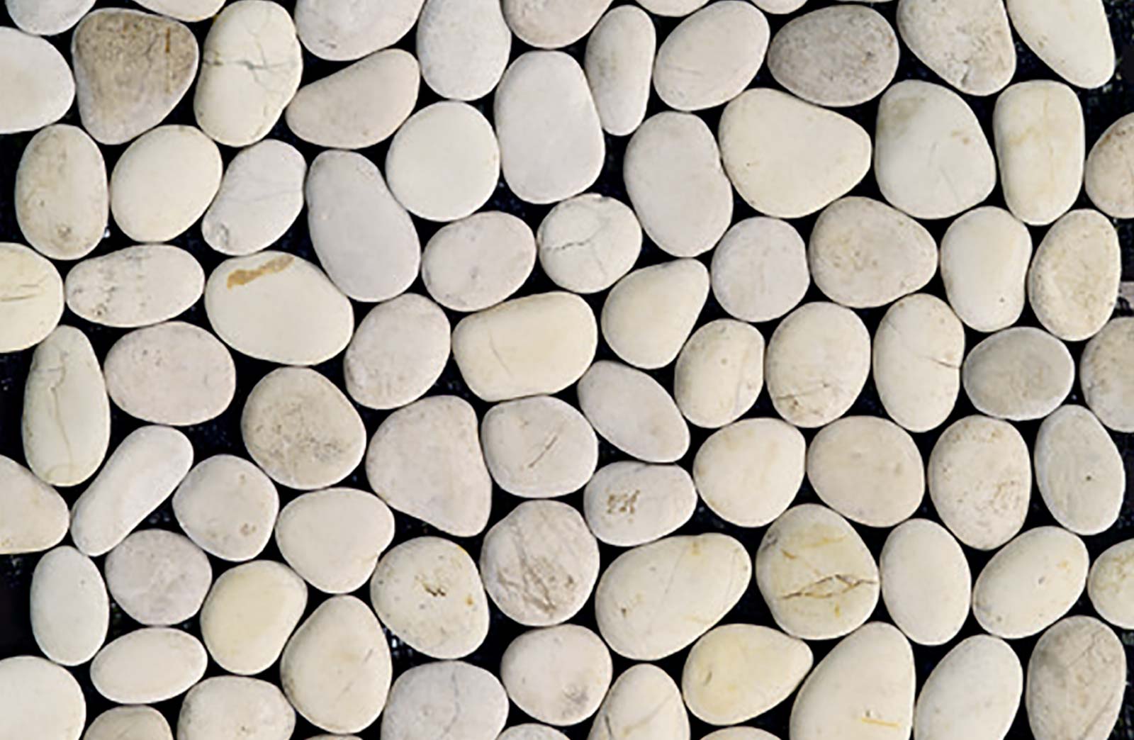 Sasso - Euro Tile & Stone Euro Tile & Stone