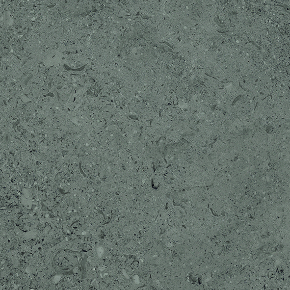 SHELLSTONE - Euro Tile & Stone Euro Tile & Stone