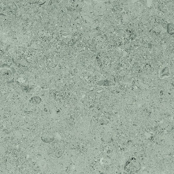 SHELLSTONE - Euro Tile & Stone Euro Tile & Stone