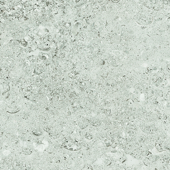 SHELLSTONE - Euro Tile & Stone Euro Tile & Stone