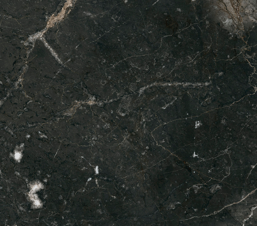 NOIR GLOSS - Euro Tile & Stone Euro Tile & Stone