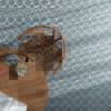 Tanger - Euro Tile & Stone Euro Tile & Stone
