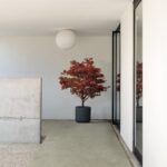 Ara Stone - Euro Tile & Stone Euro Tile & Stone