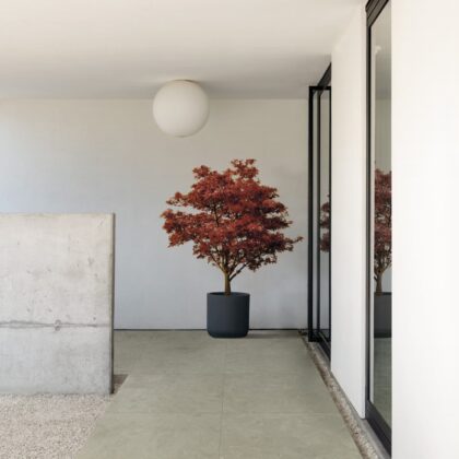 Ara Stone - Euro Tile & Stone Euro Tile & Stone