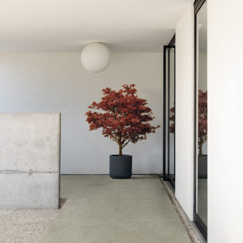 Ara Stone - Euro Tile & Stone Euro Tile & Stone