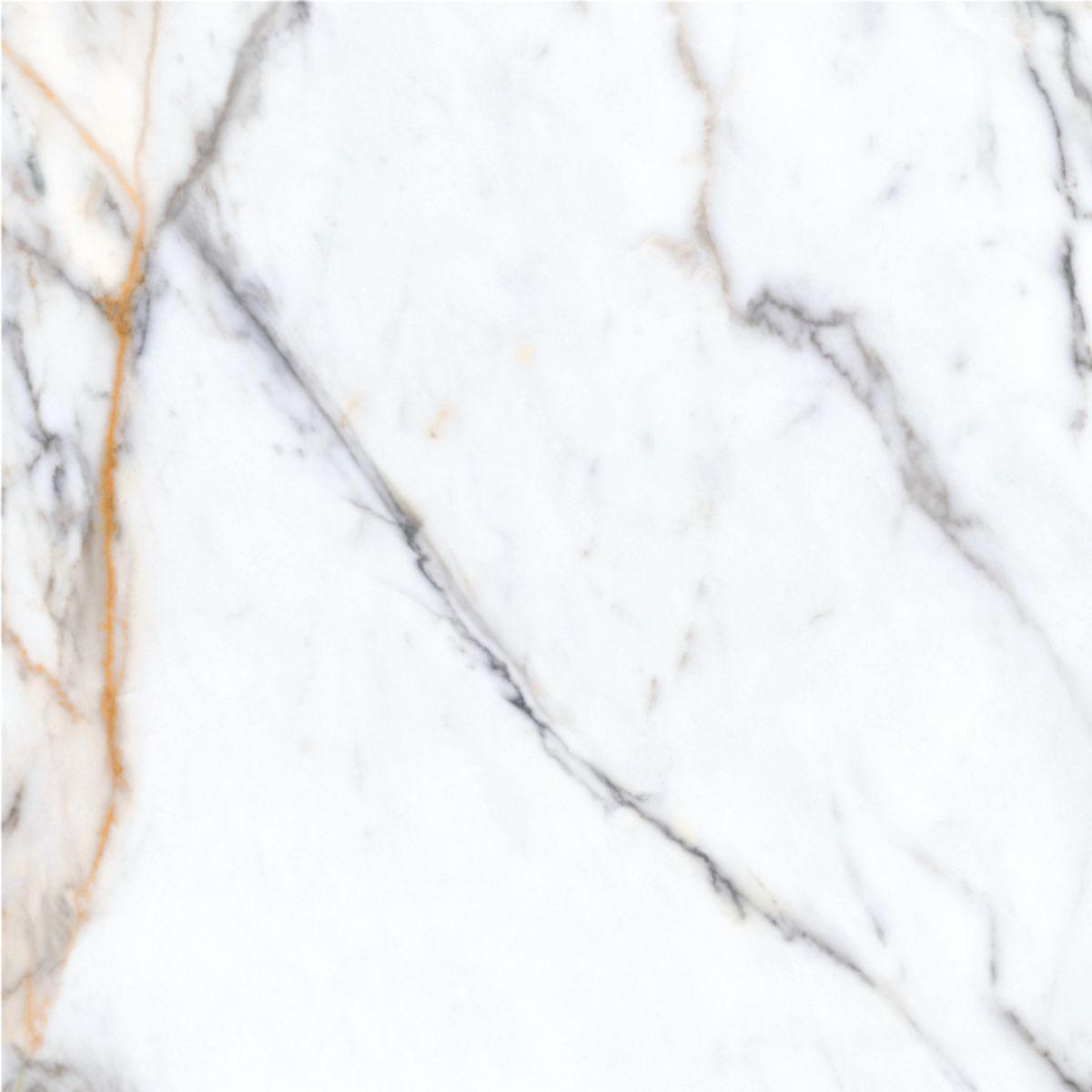 Paonazzo - Euro Tile & Stone Euro Tile & Stone